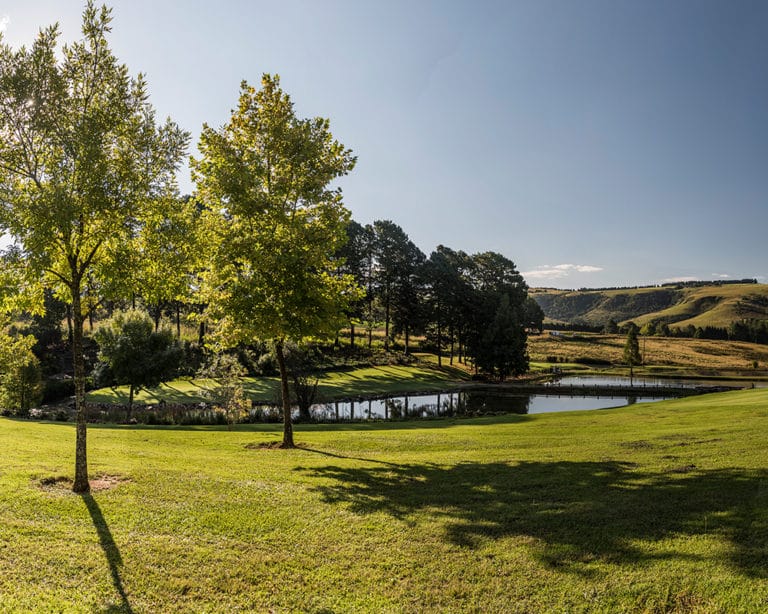 Gallery | Champagne Sports Resort : Champagne Sports Resort